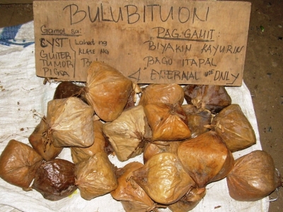 Poison Tree (Barringtonia Asiatica): An Amazing Tree That Can Cure Cancer?